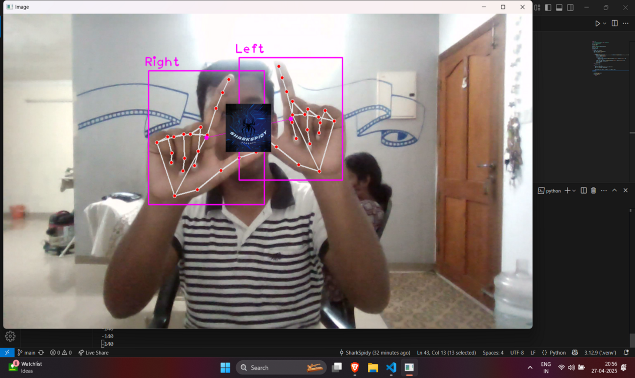 SharkSpidy | Developer & Designer